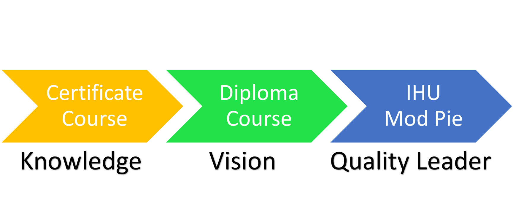 IHU Learning Method – IHU Website